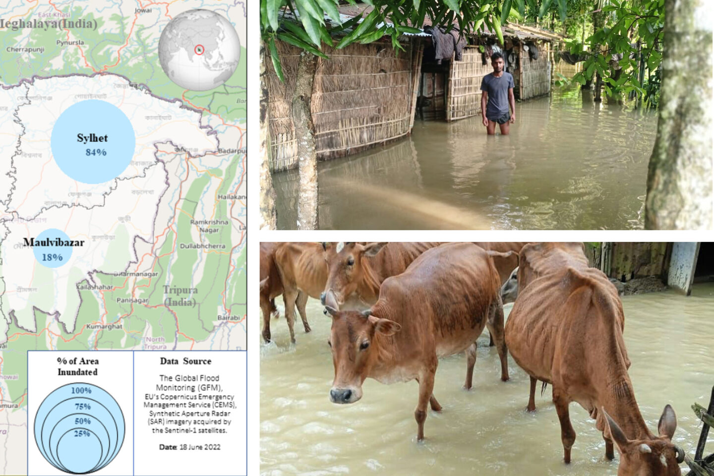 iDE | Sylhet’s Resilient Market Ecosystem