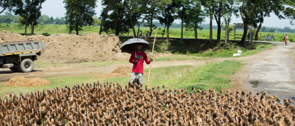 iDE | Sylhet’s Resilient Market Ecosystem