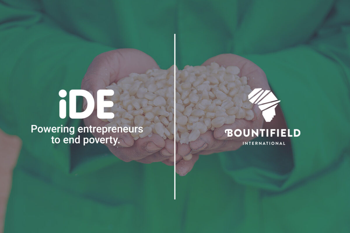 iDE | Bountifield, Kenya, postharvest