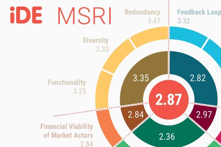 iDE | Supporting small-scale farmers with market-based solutions