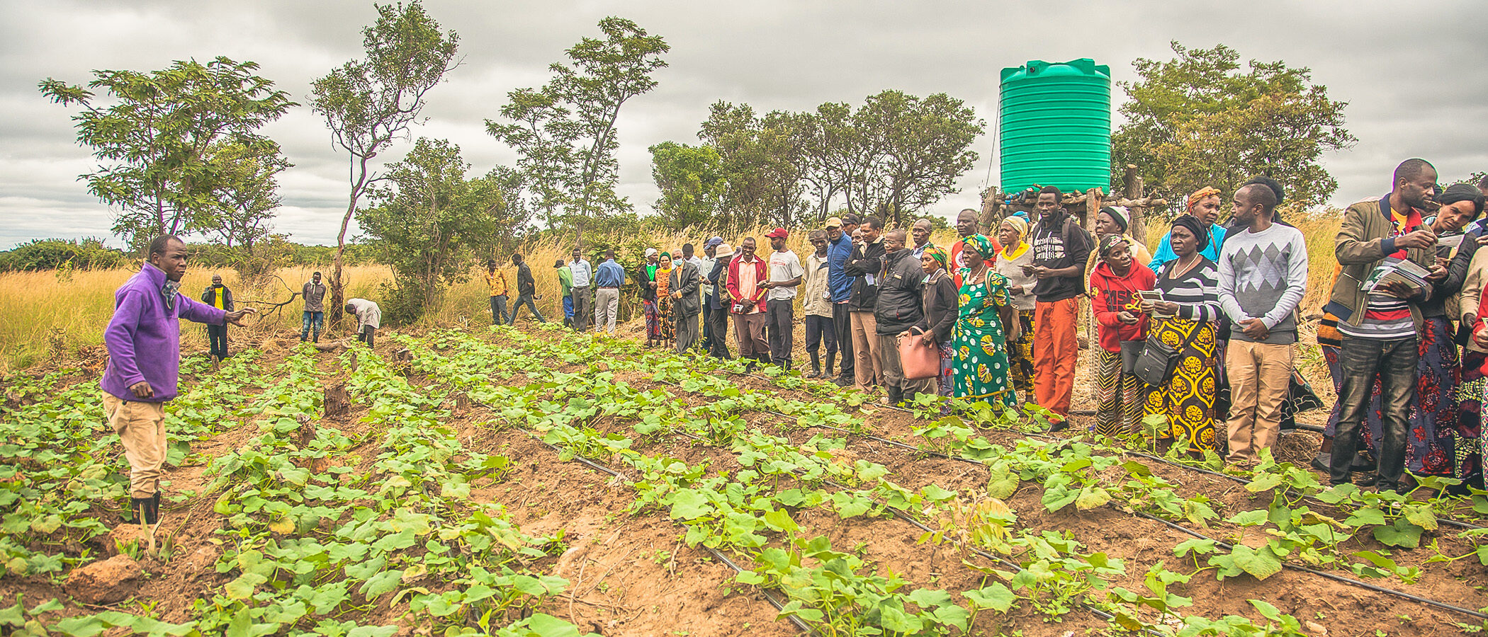 iDE | Listing of all the articles available on iDEglobal.org