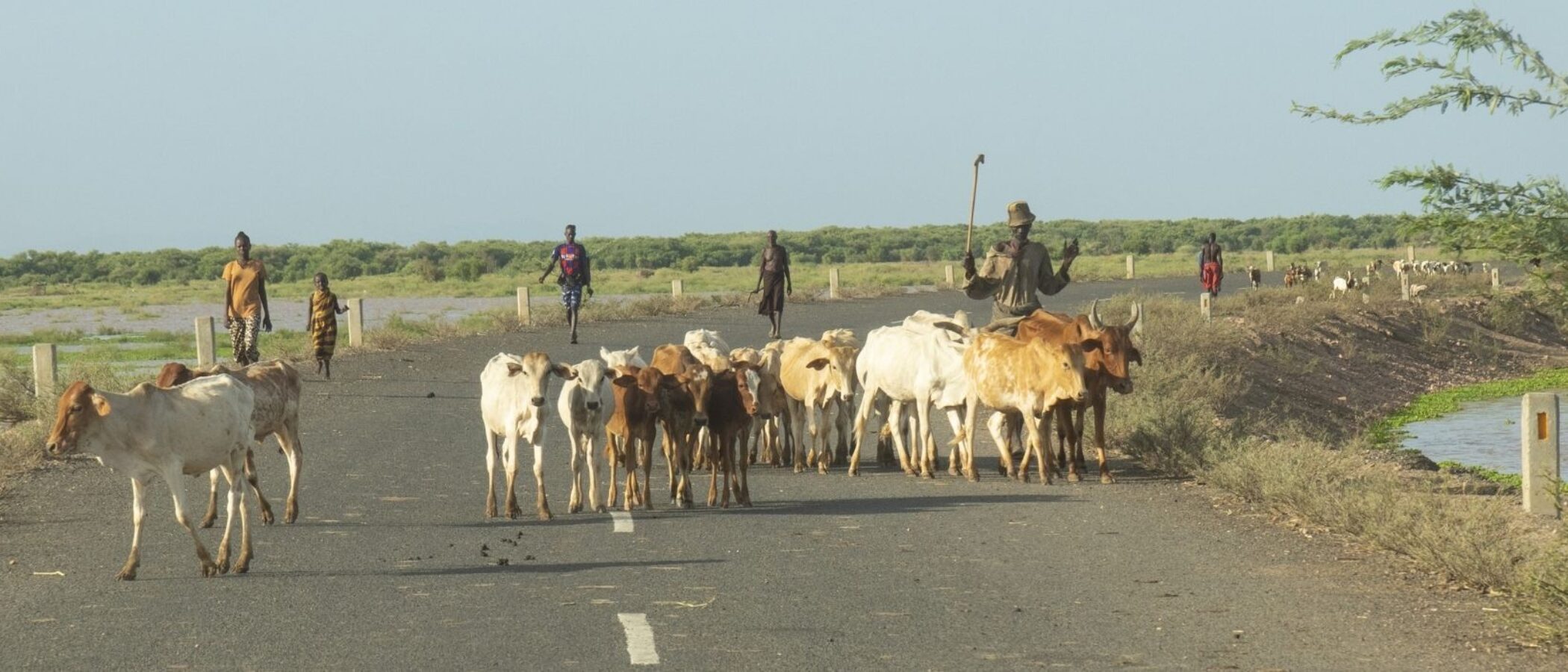 iDE | Listing of all the articles available on iDEglobal.org