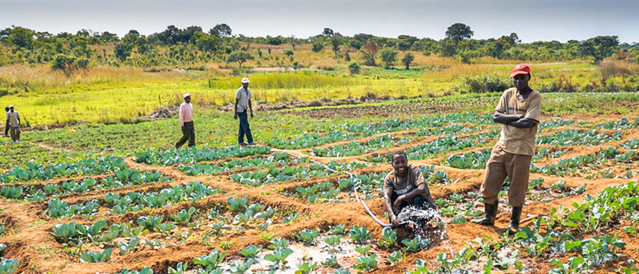 iDE | Listing of all the articles available on iDEglobal.org