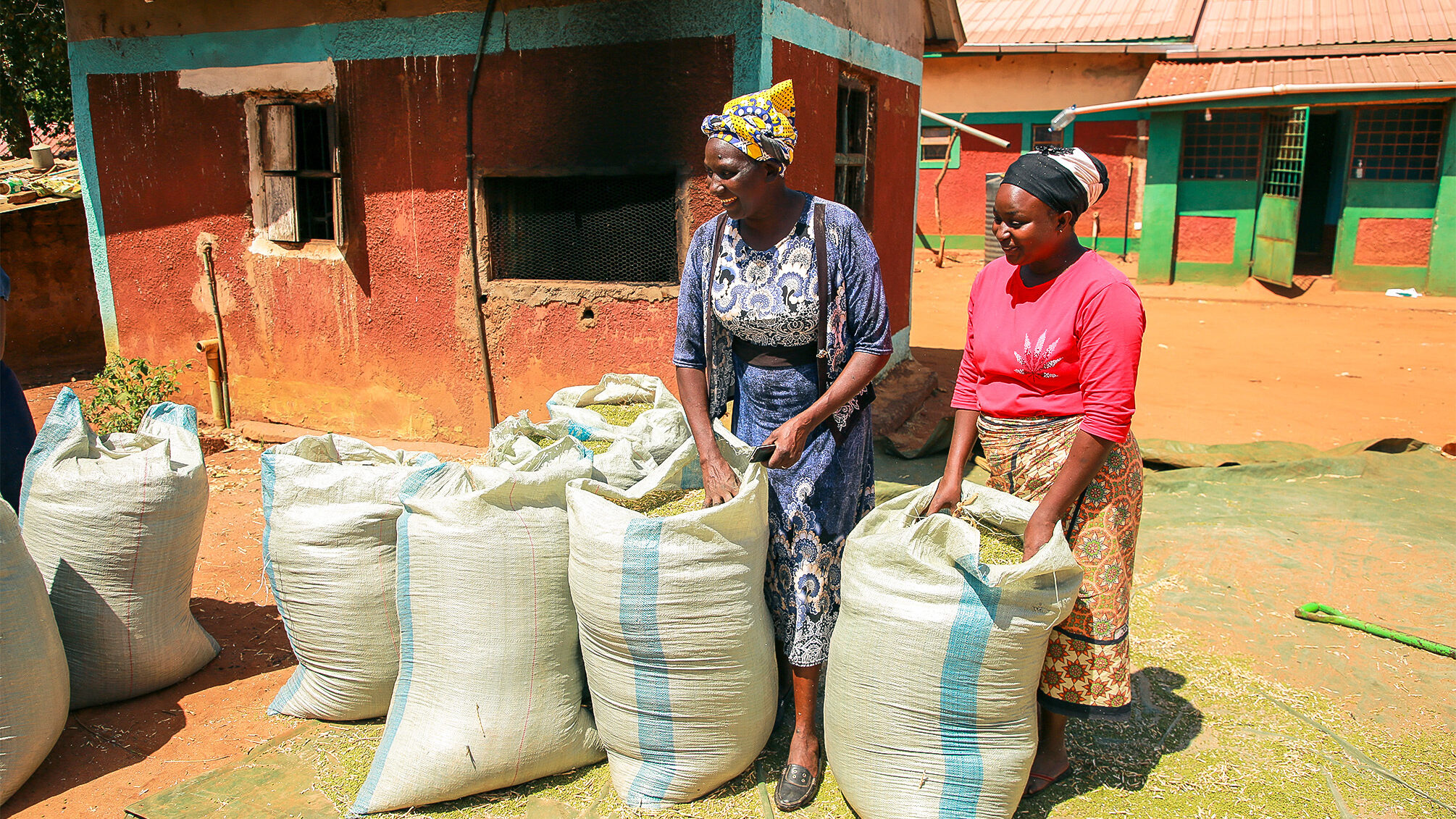 iDE | Bountifield, Kenya, postharvest