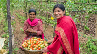 iDE | Creating innovative market-based solutions in Nepal since 1992