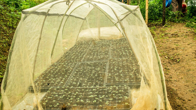 iDE | Creating innovative market-based solutions in Nepal since 1992