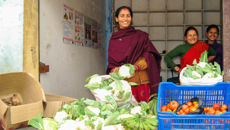 iDE | Creating innovative market-based solutions in Nepal since 1992