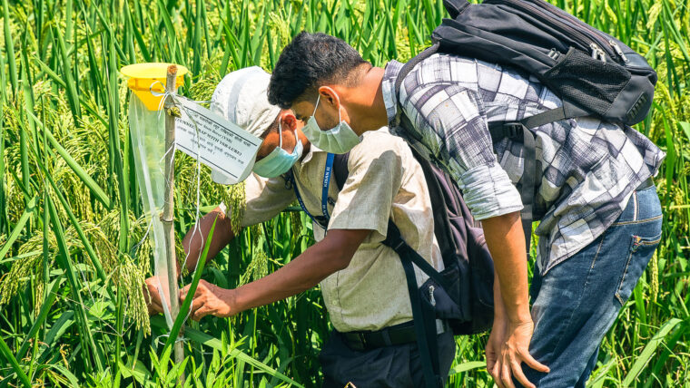 iDE | Creating innovative market-based solutions in Nepal since 1992