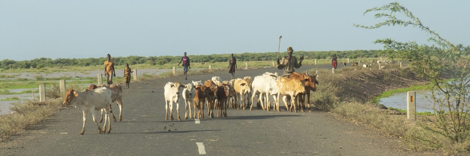 iDE | The evolution and adoption of an iDE tagline