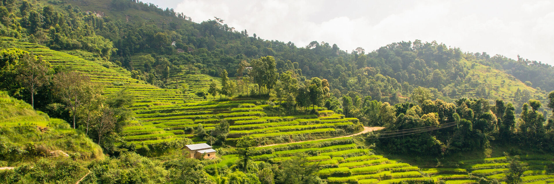 iDE | Climate and Resilience