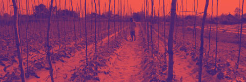 iDE | Our Infinite Model