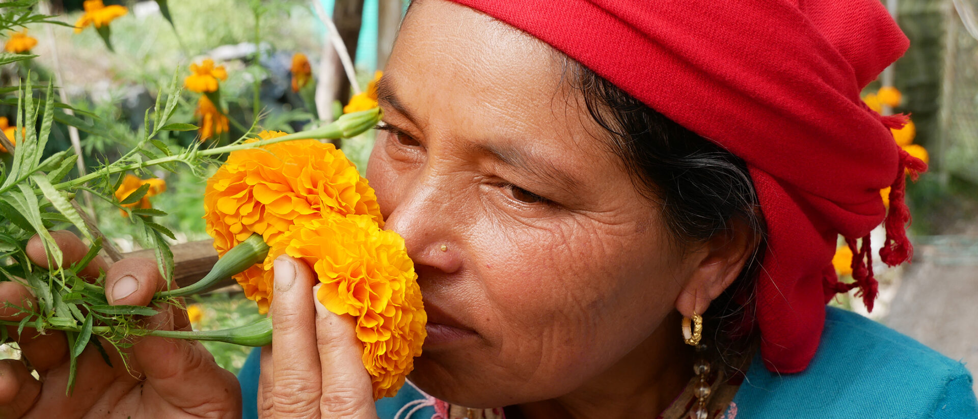 iDE | Creating innovative market-based solutions in Nepal since 1992