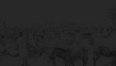 iDE | Creating innovative market-based solutions in Nepal since 1992