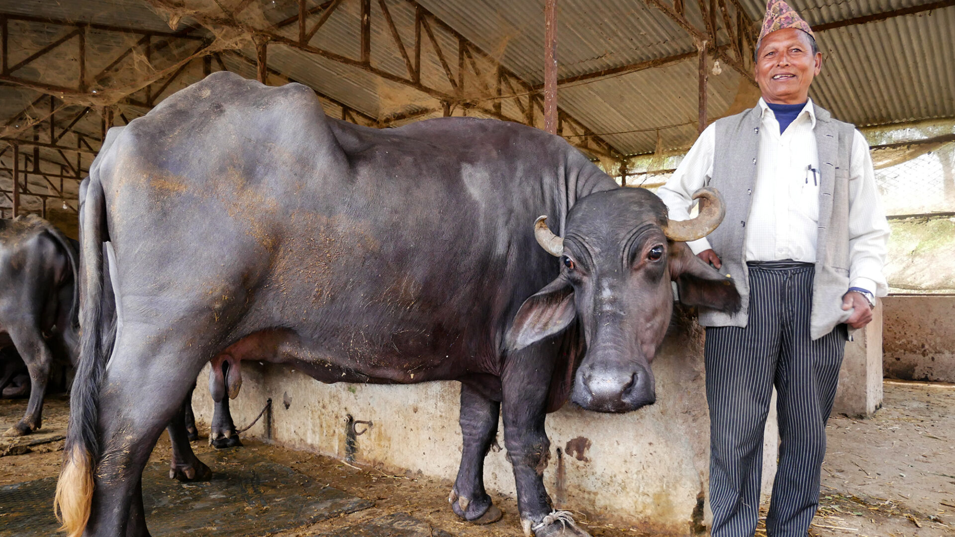 iDE | Regenerative Agriculture Helps Nepali Farms Bloom