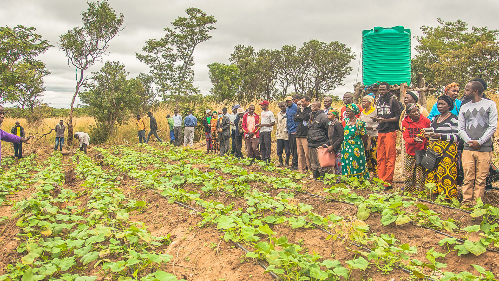 iDE | New Irrigation System Inspires A Community