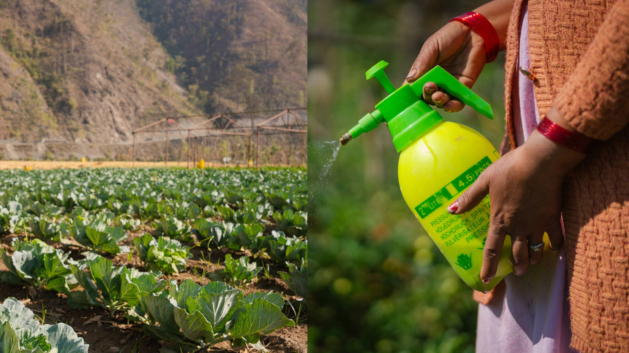 iDE | Climate-Smart Farming Transforms A Farmer and Her Community in…