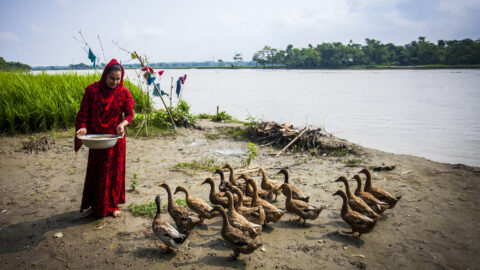 iDE | Climate Resilience Measurement