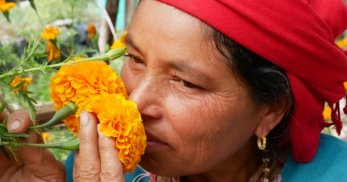 iDE | Regenerative Agriculture Helps Nepali Farms Bloom