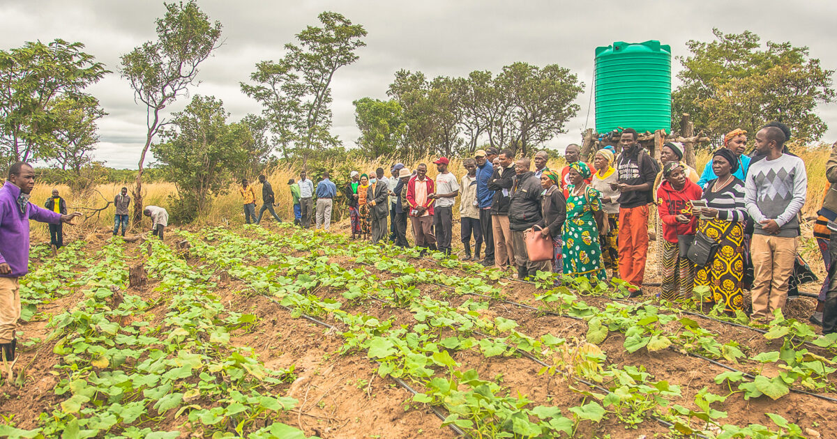 iDE | New Irrigation System Inspires A Community