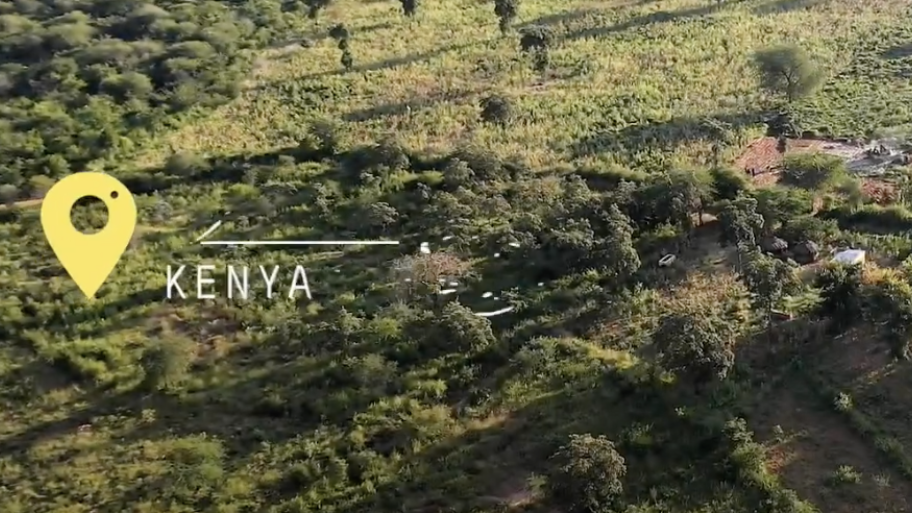 iDE Global | Bountifield, Kenya, postharvest