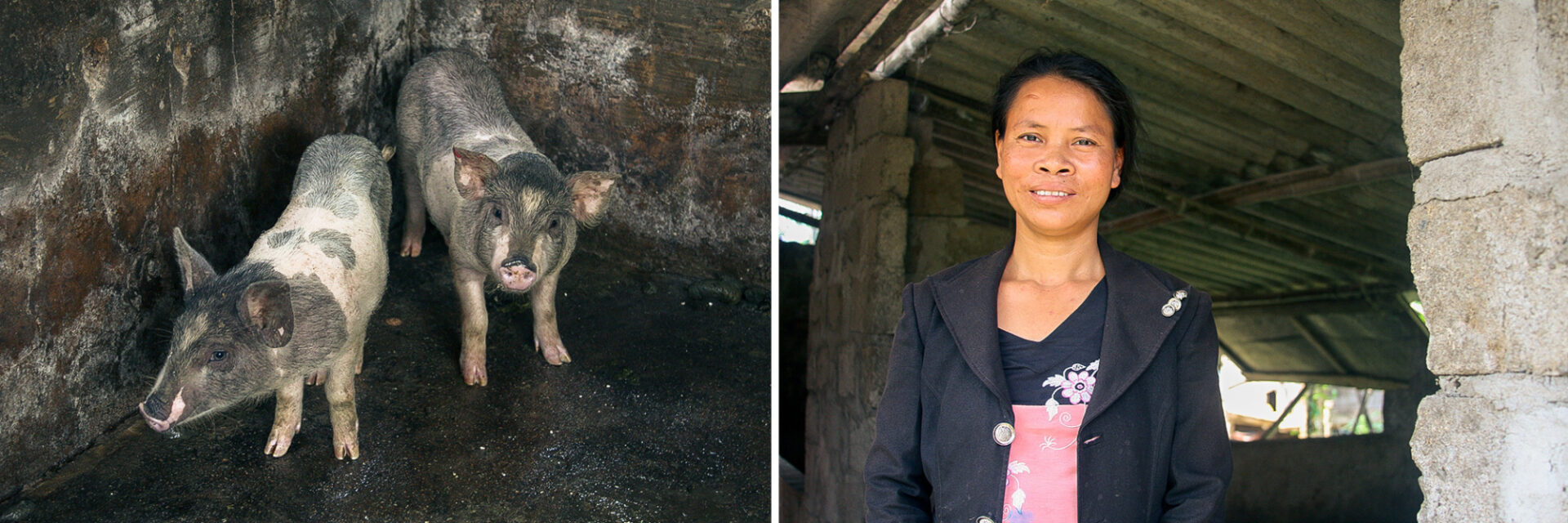 iDE Global | Entrepreneur Profile: Ho Thi Hiu